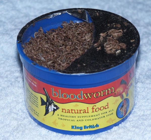Bloodworm - The Free Freshwater and Saltwater Aquarium Encyclopedia ...